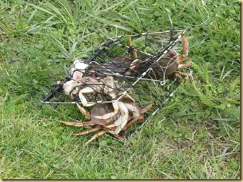 Damn Near Perfect Couple: November 2009